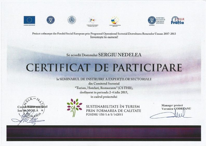 Certificat de participare | Sergiu Nedelea